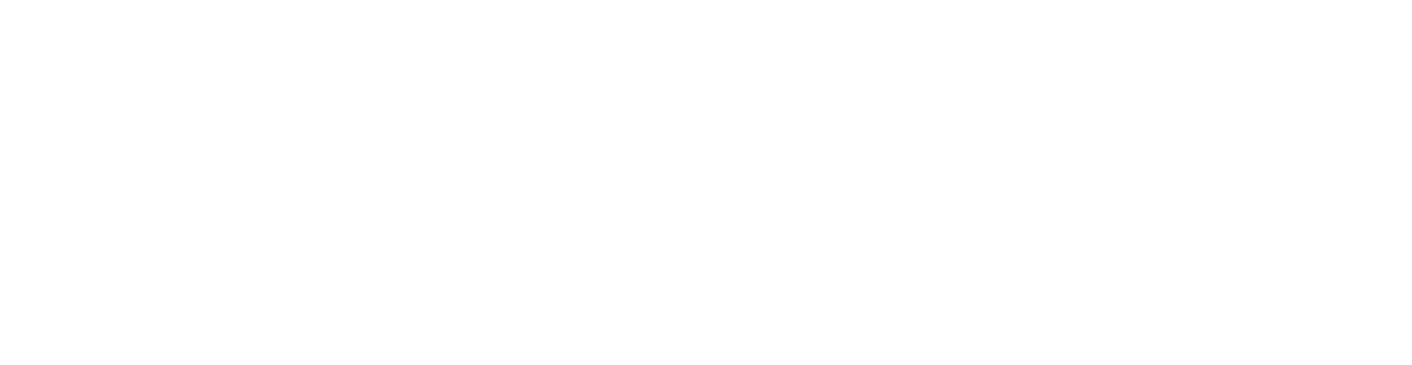 SYTA Logo & Brand Standards - Marketing Toolkit